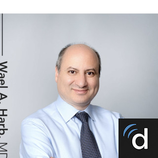 Dr. Wael Harb, MD – Lafayette, IN | Oncology