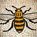 Dr. Hannah Reed, MD – New York, NY | Psychiatry