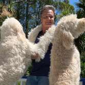 Dr. John Reed, MD – San Diego, CA | Anesthesiology