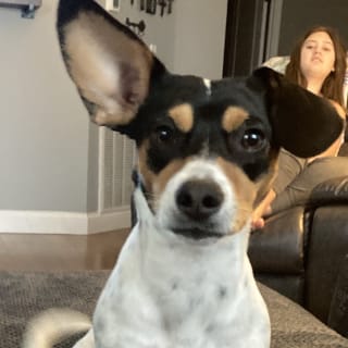 Joseph Reed – Corbin, KY | Physician Assistant